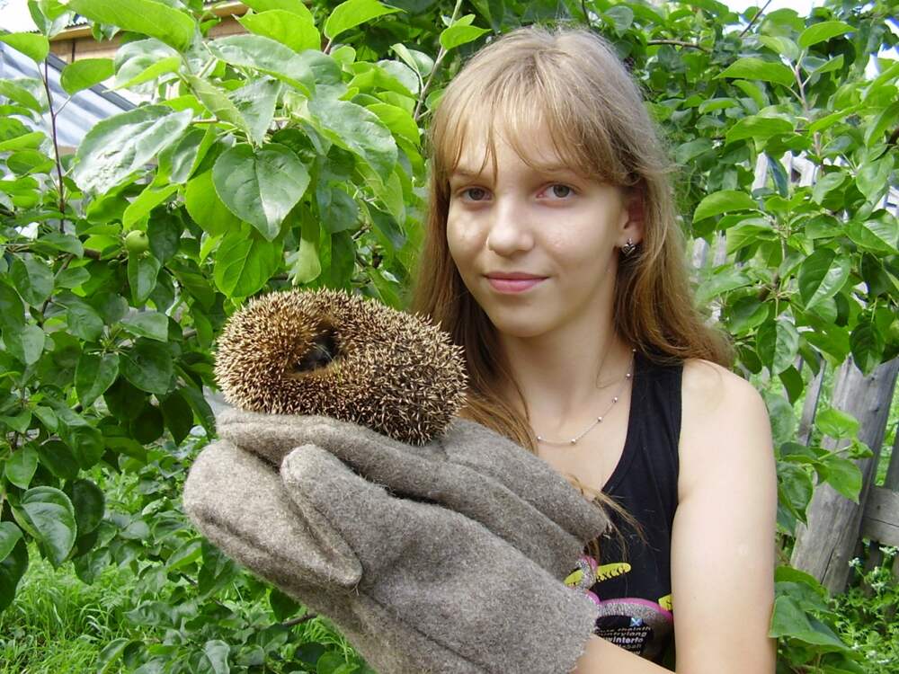 Анастасия Колегова: взмах ее жизни в сияющих красках сегодняшнего дня >> Семья и досуг ...